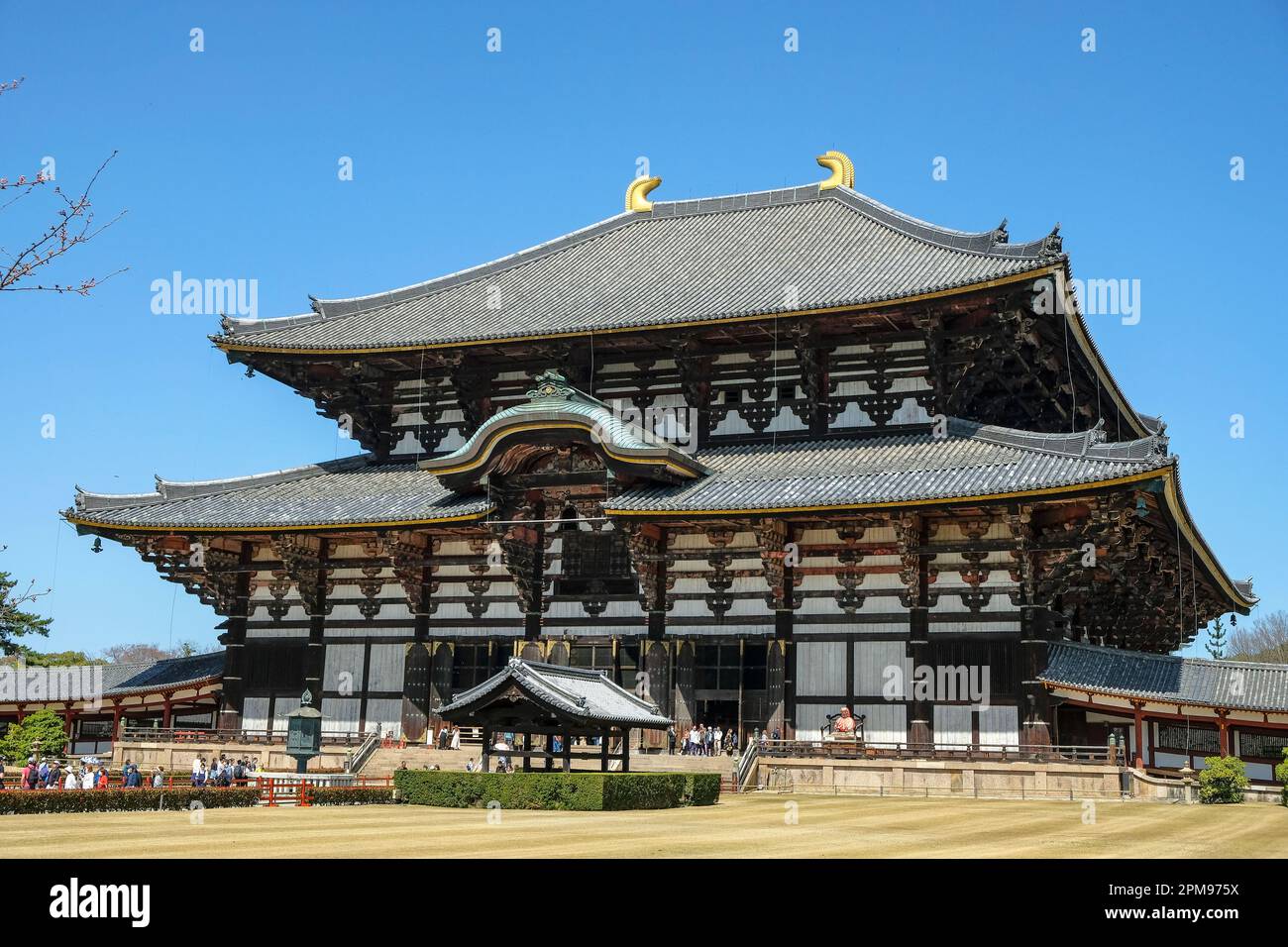 Nara, Japan - March 22, 2023: Tourists visiting the Todaiji Temple is a ...