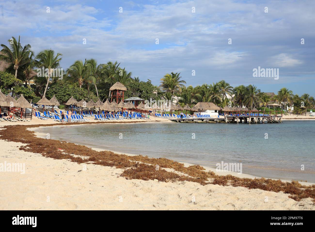 Beach with some sargassum at the Bahia Principe Hotel complex in Akumal ...