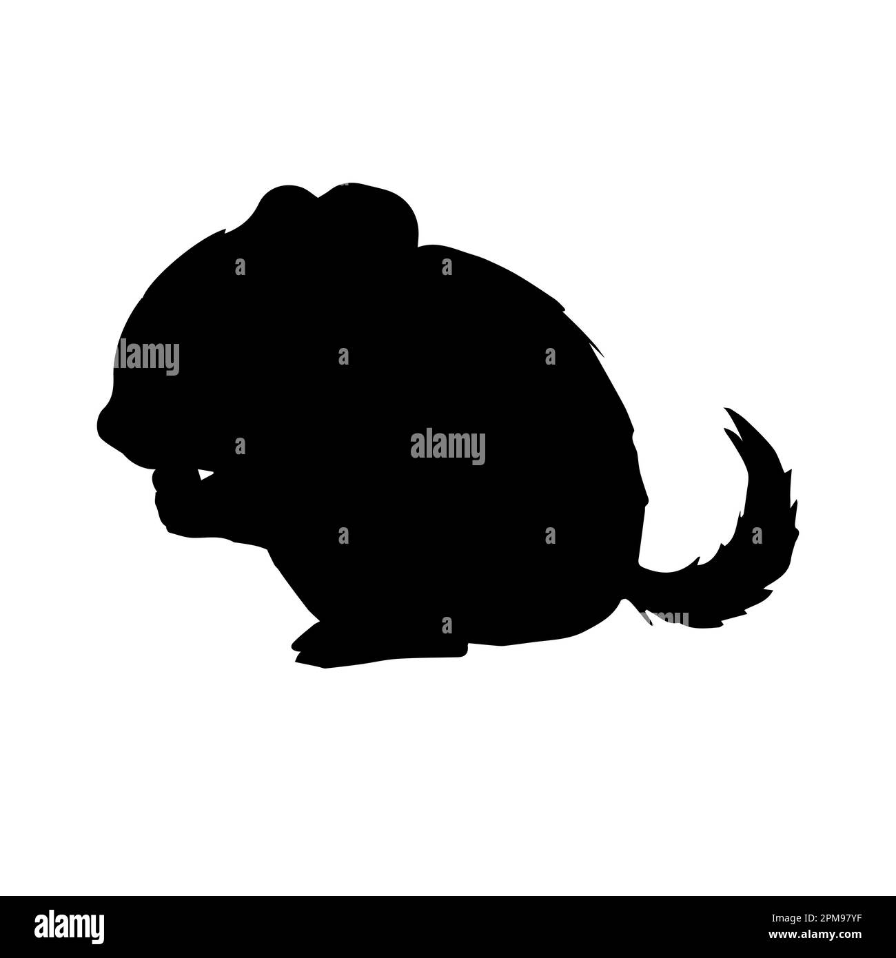 Cute fluffy domestic chinchilla Stock Vector Images - Alamy