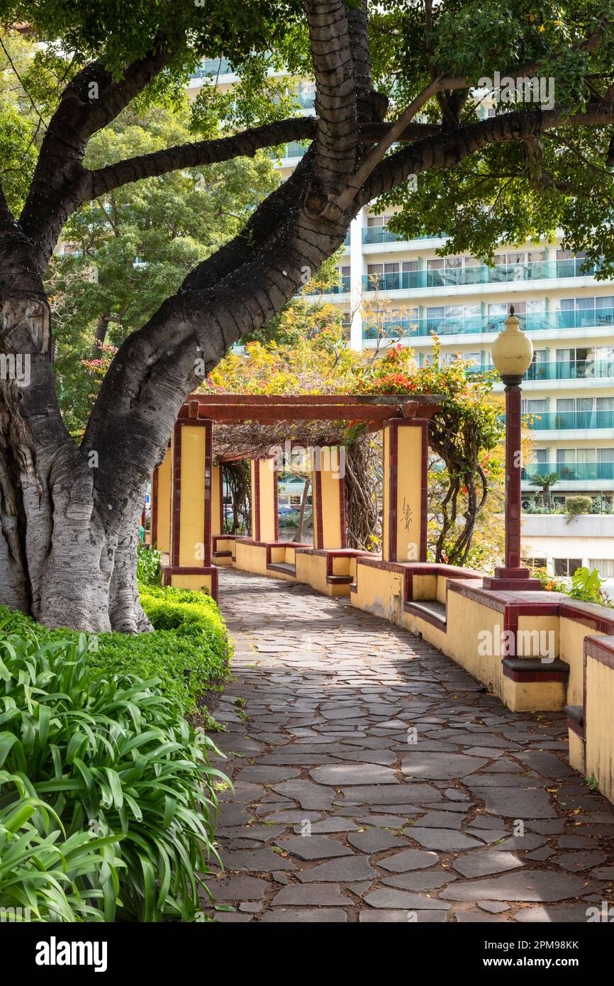Pretty pavement covered walkway, Funchal, Madeira Stock Photo - Alamy
