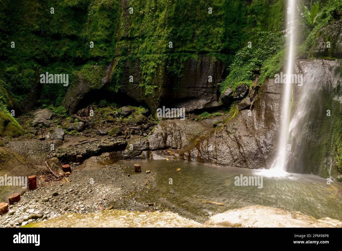 a small waterfall cascading over rocks in the rainforest of Mount ...