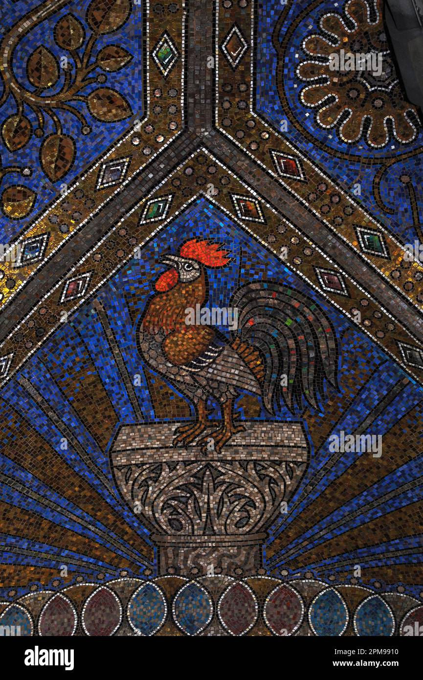 Cockerel or rooster with bright red comb and wattle stands proud amid ...