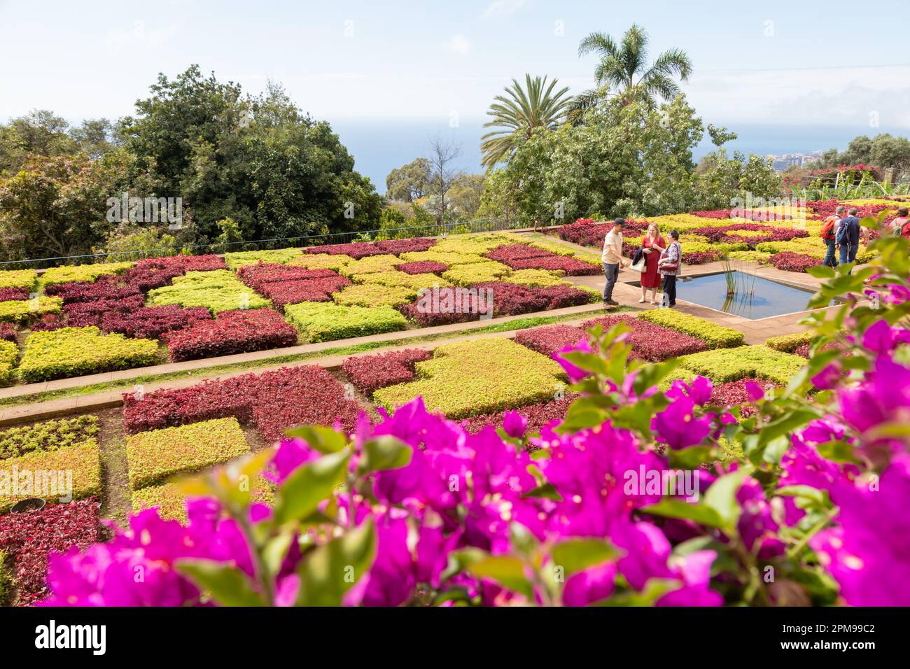Madeira Botanical Garden, Funchal, Madeira. Spring 2023 Stock Photo - Alamy