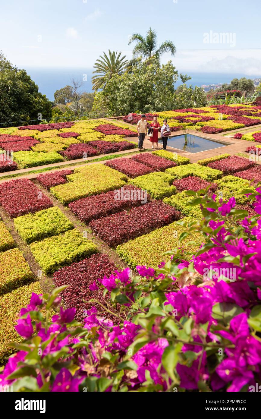 Madeira Botanical Garden, Funchal, Madeira. Spring 2023 Stock Photo - Alamy