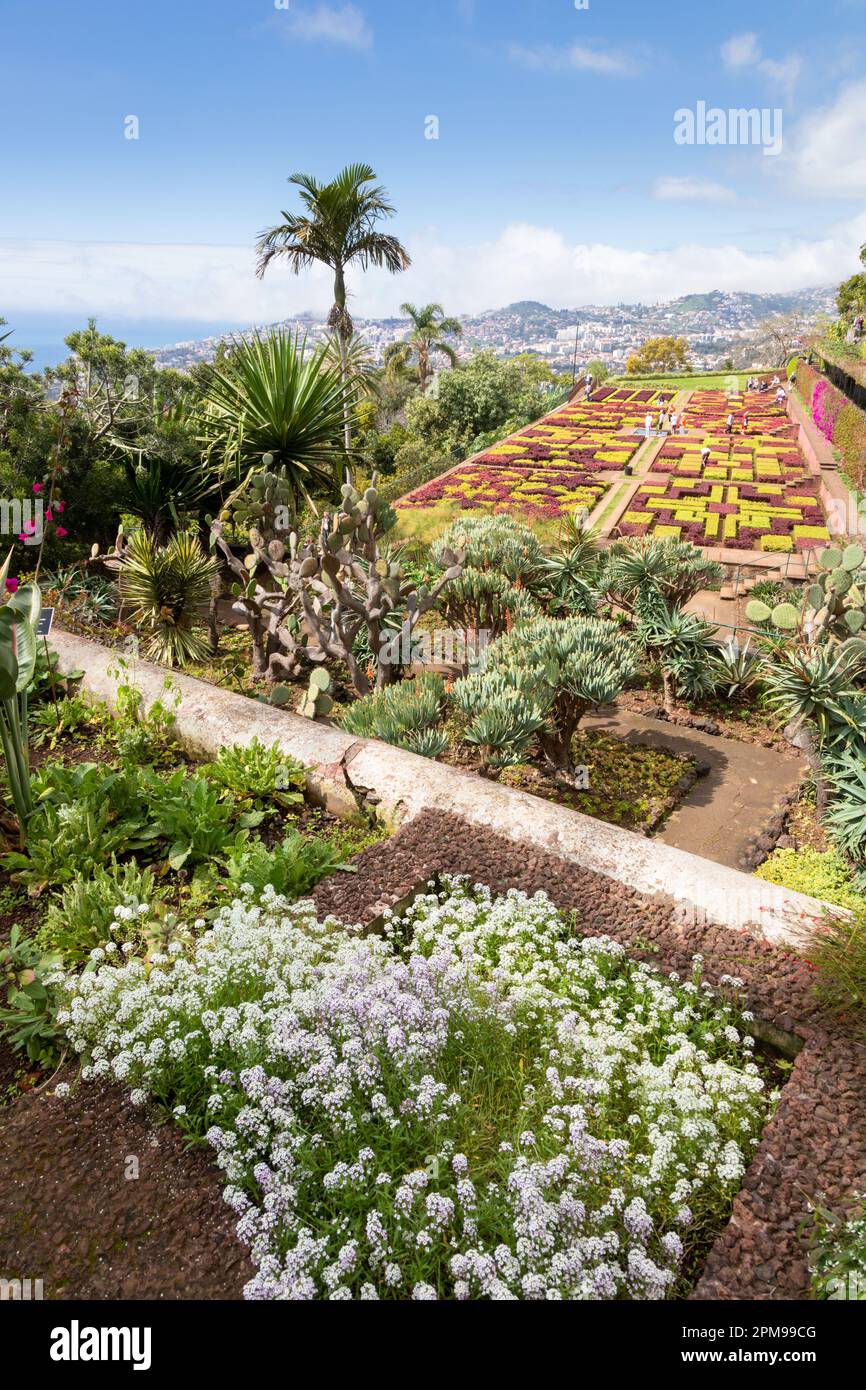 Madeira Botanical Garden, Funchal, Madeira. Spring 2023 Stock Photo - Alamy