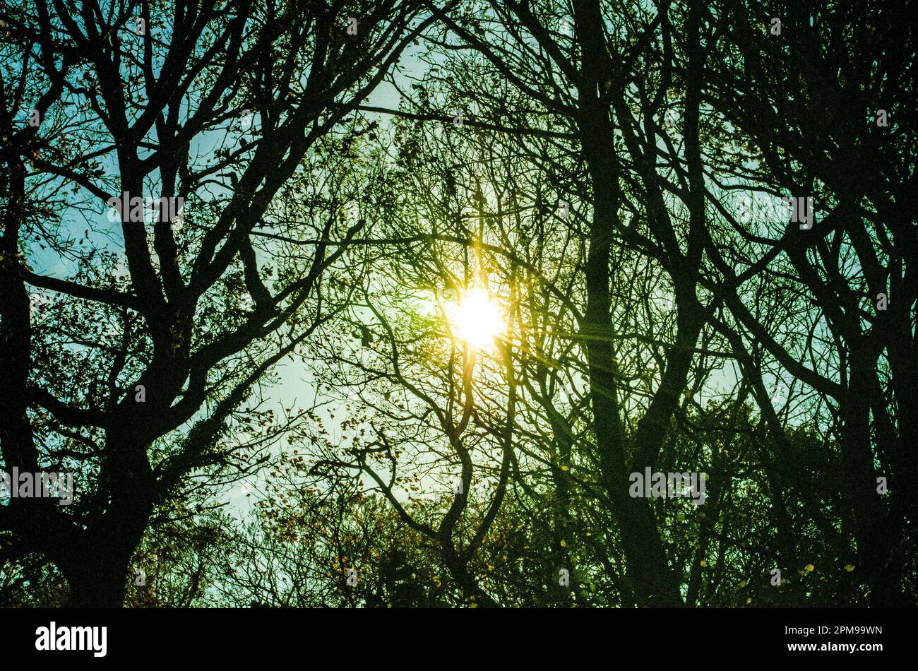 Worden Park, Leyland Stock Photo - Alamy