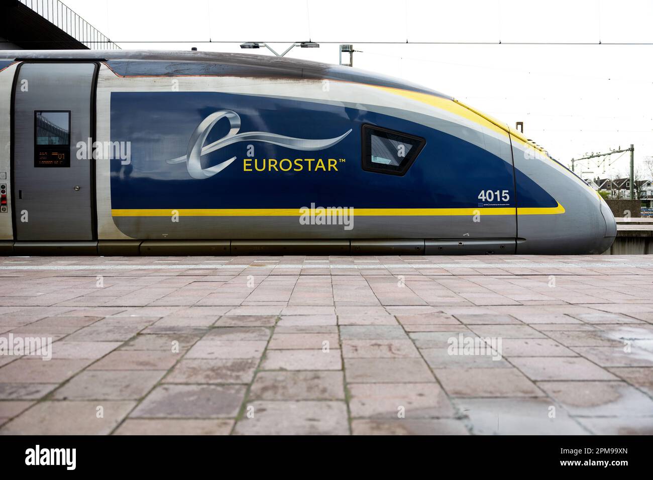 ROTTERDAM - Portrait of Eurostar top woman Gwendoline Cazenave. High ...