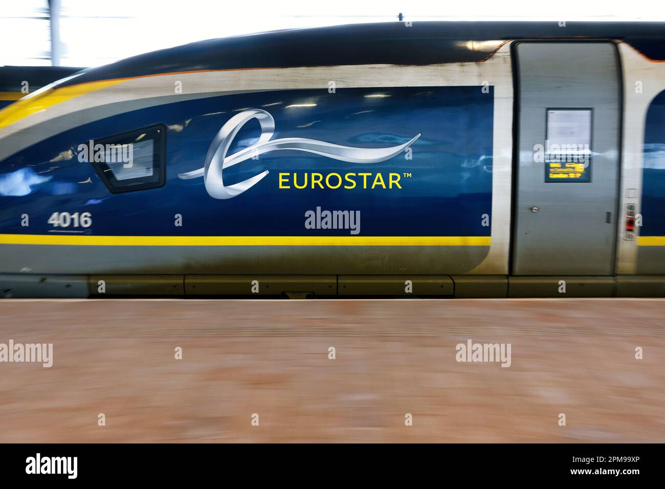 ROTTERDAM - Portrait of Eurostar top woman Gwendoline Cazenave. High ...