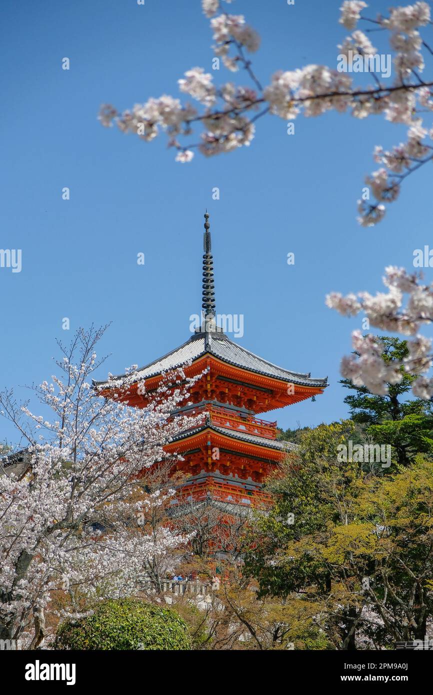 Kyoto, Japan - March 28, 2023: Pagoda of the Kiyomizudera Temple, the ...
