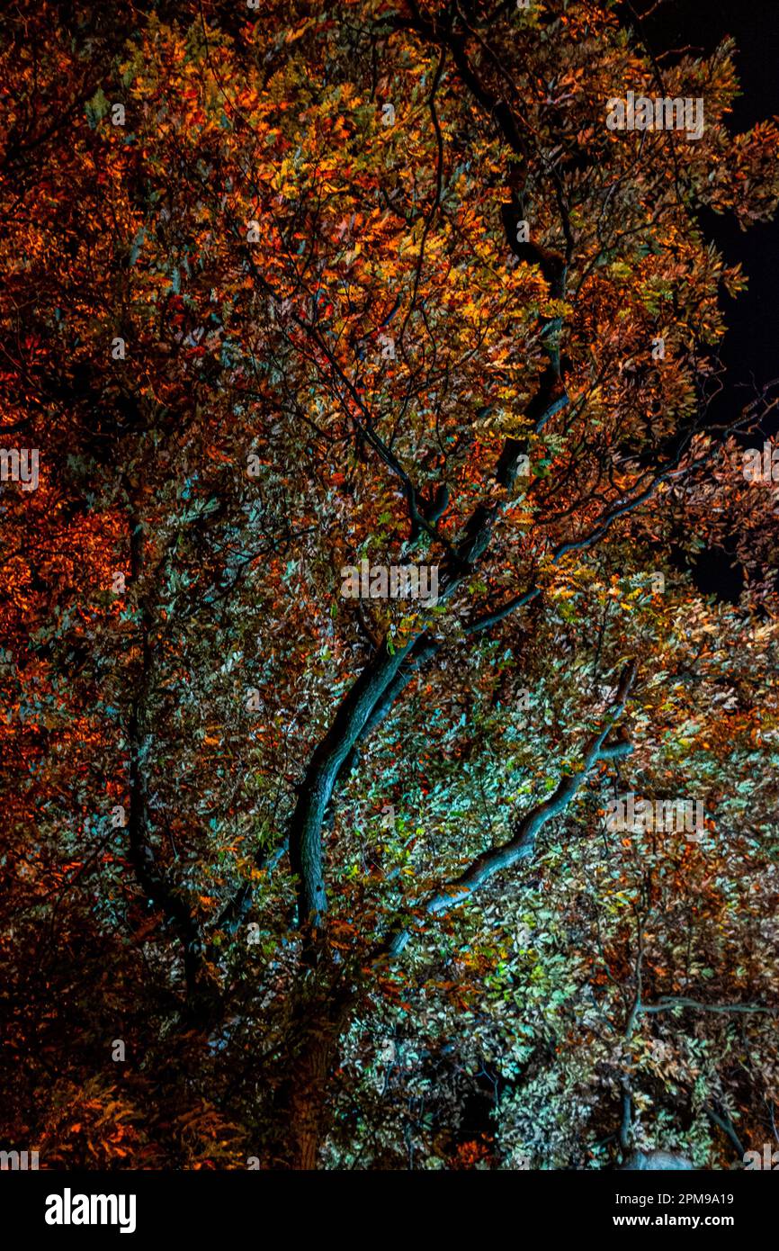 Worden Park, Leyland Stock Photo - Alamy