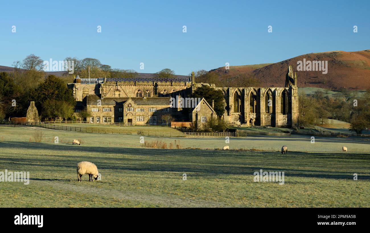 Scenic rural view of sunlit picturesque ancient monastic Bolton Abbey ...