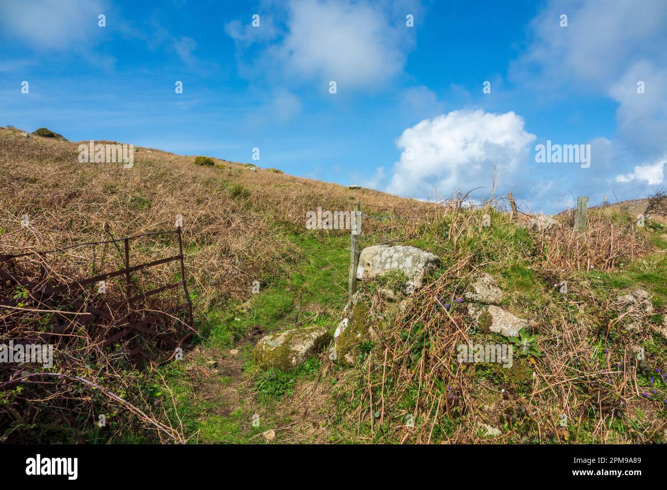 Gate path to the moors hi-res stock photography and images - Alamy