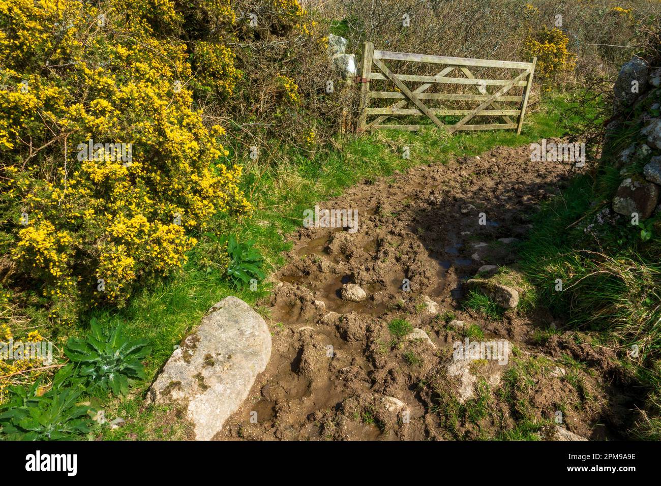 Penwith moors farm hi-res stock photography and images - Alamy