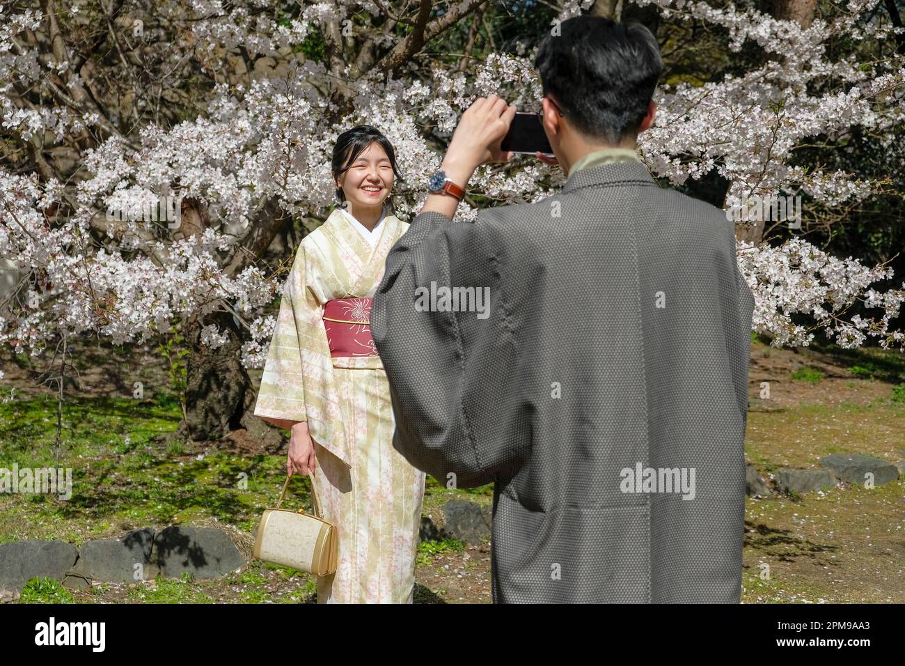 Kyoto, Japan - March 28, 2023: A couple taking photos next to a cherry blossom tree at Maruyama ...