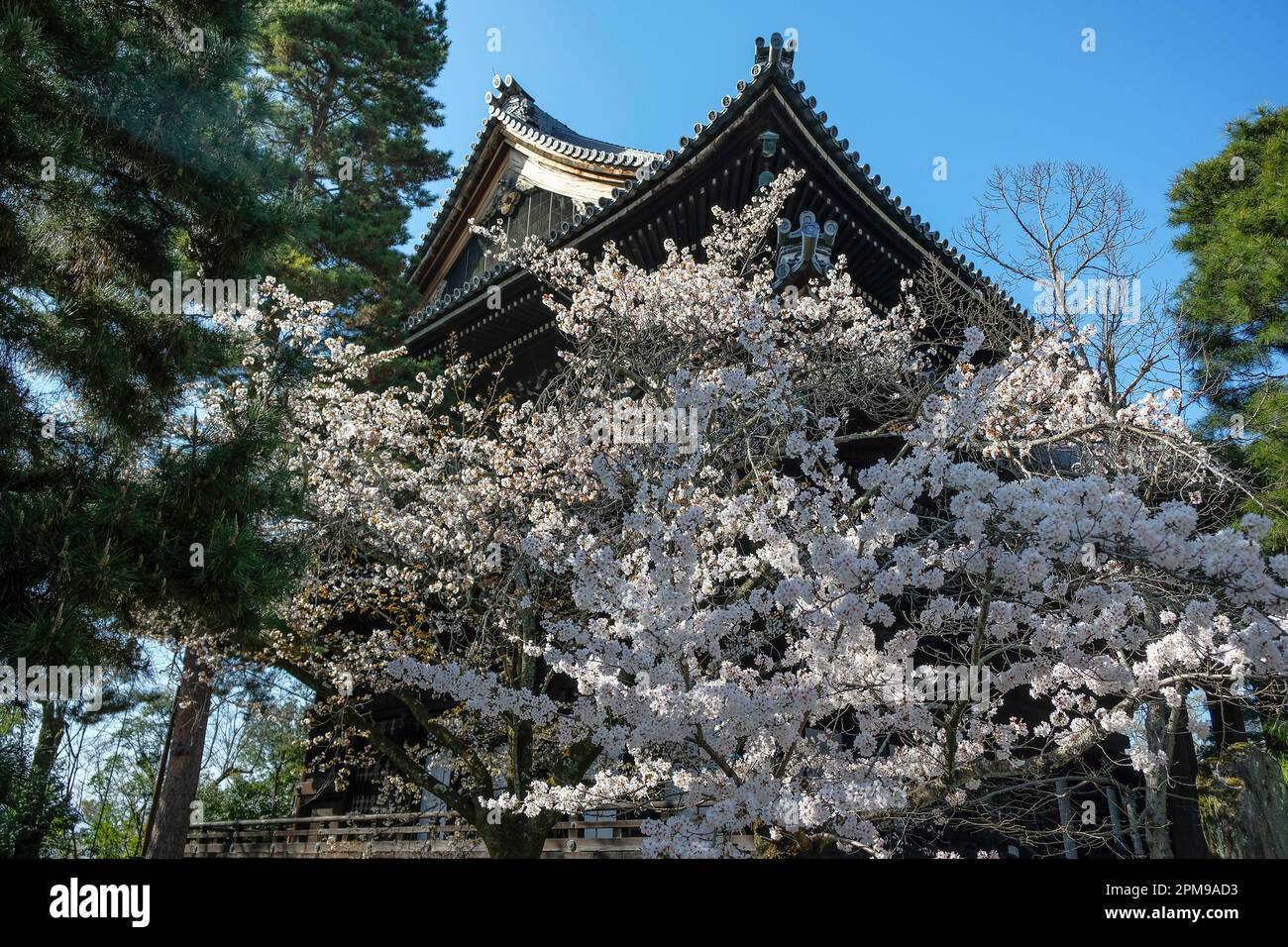 Kyoto, Japan - March 28, 2023: Chionin Temple is a Buddhist temple in ...