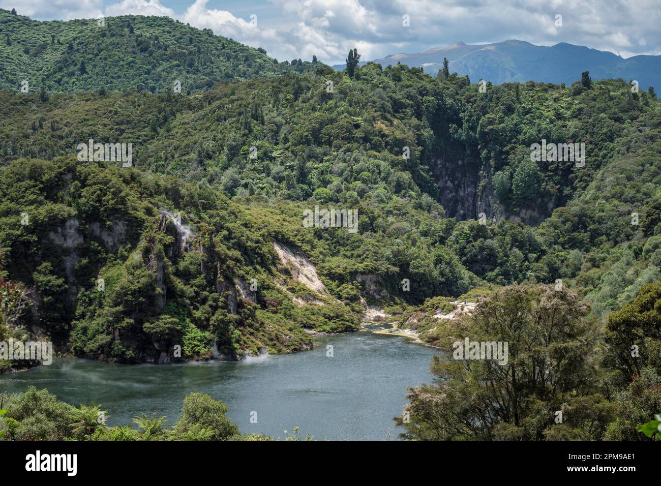 Frying Pan Lake, Waimangu Volcanic Valley, North Island, New Zealand ...