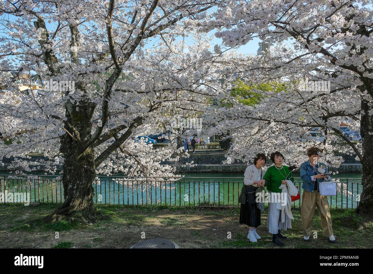 Kyoto, Japan - March 28, 2023: Women taking a selfie at the Okazaki ...