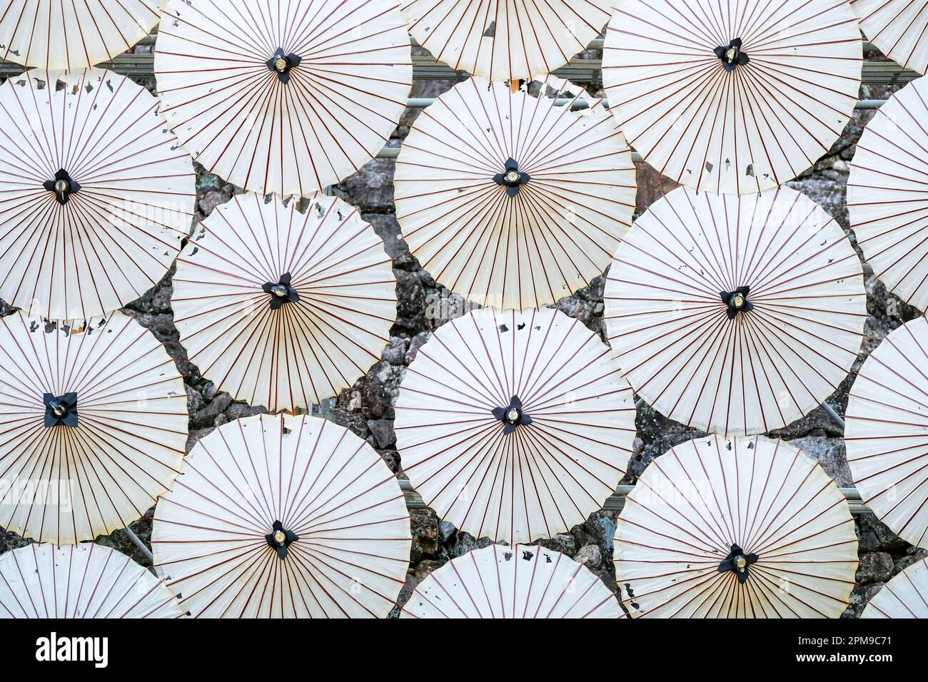 Japanese paper umbrella at Kochi Park in Kochi, Japan Stock Photo - Alamy