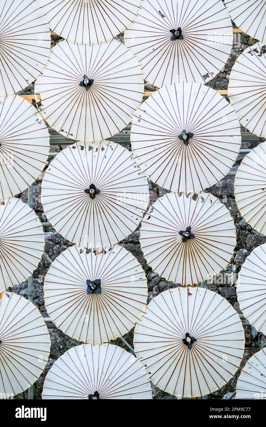 Japanese paper umbrella at Kochi Park in Kochi, Japan Stock Photo - Alamy