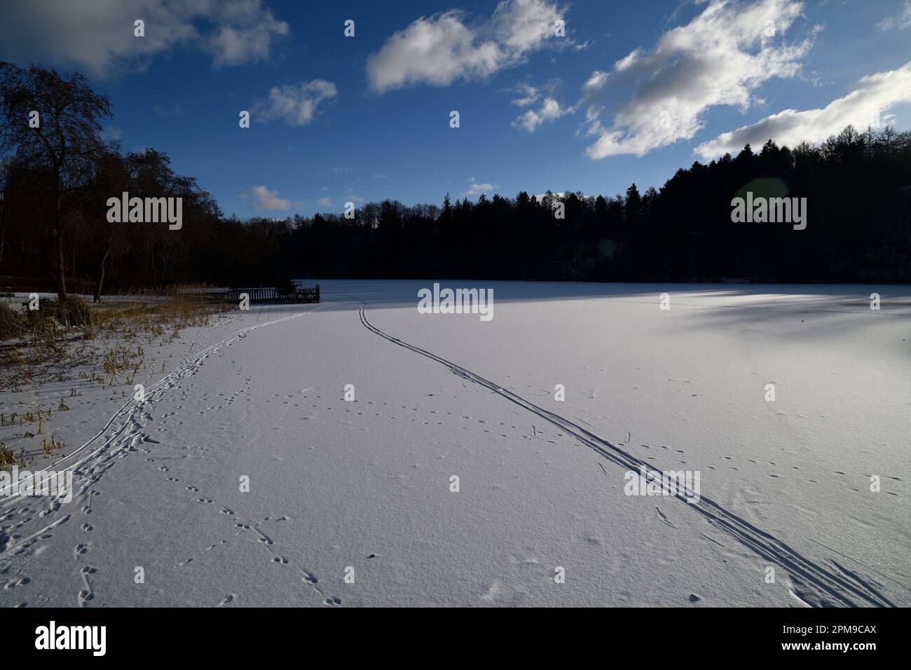 Winter lake, Denmark Stock Photo - Alamy