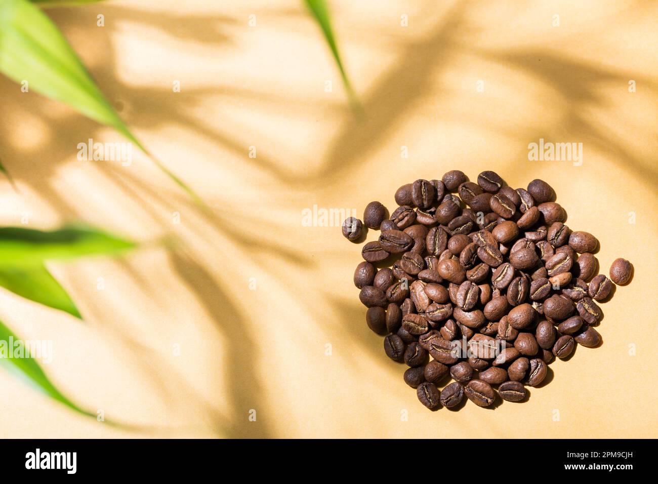 Colombian Coffee Delight: Beans on a Yellow Background with Natural ...