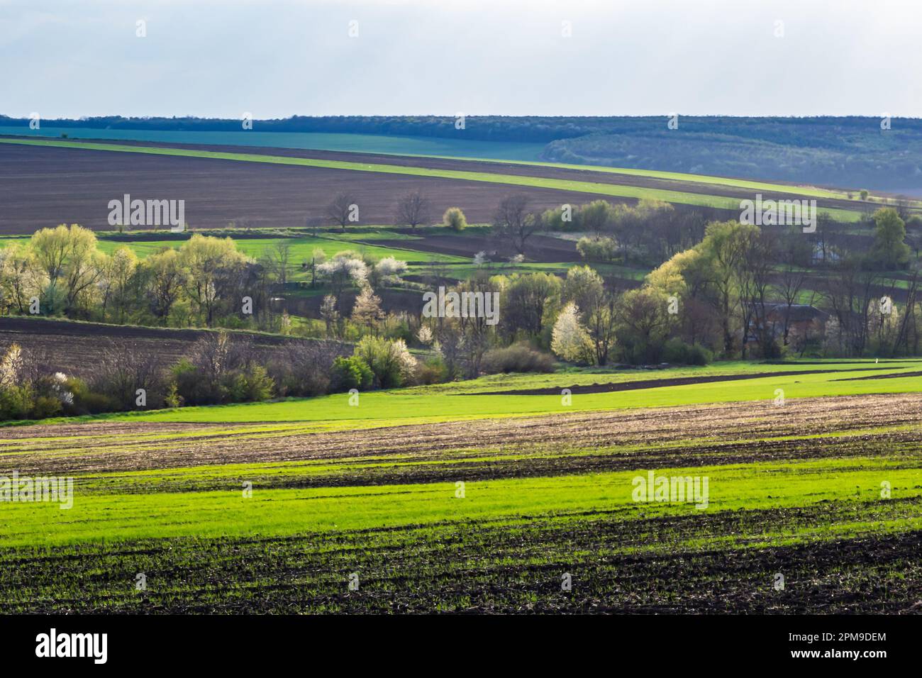 Beautiful spring landscape. Agricultural field with freshly cultivated ...