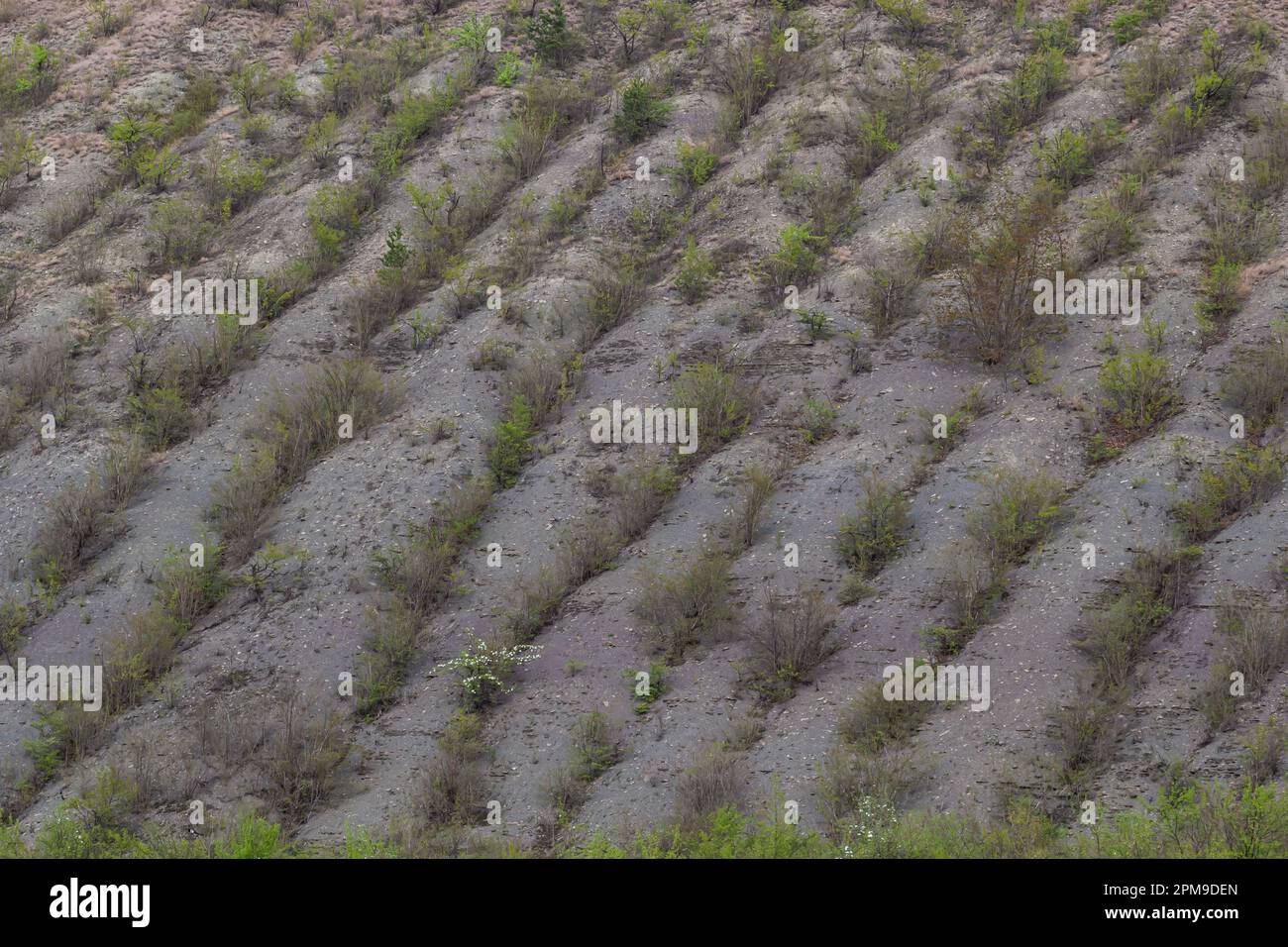 View ravine covered with greenery. Landscape valley with geological ...