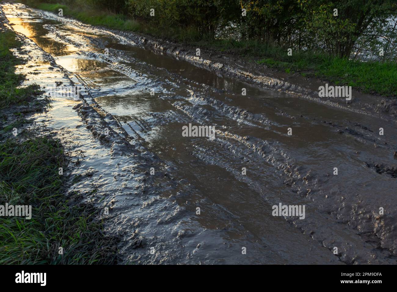 Vanishing dirt road with deep rut and puddles in village at sunset ...