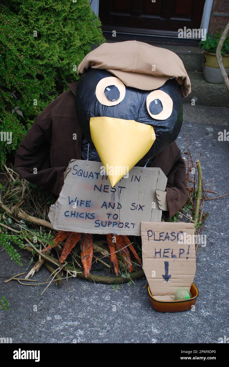 Scarecrow construction ....wife and chicks to support Stock Photo - Alamy