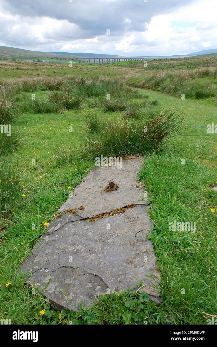 Distant Ribblehead Viaduct seen during a circular walk around Whernside ...