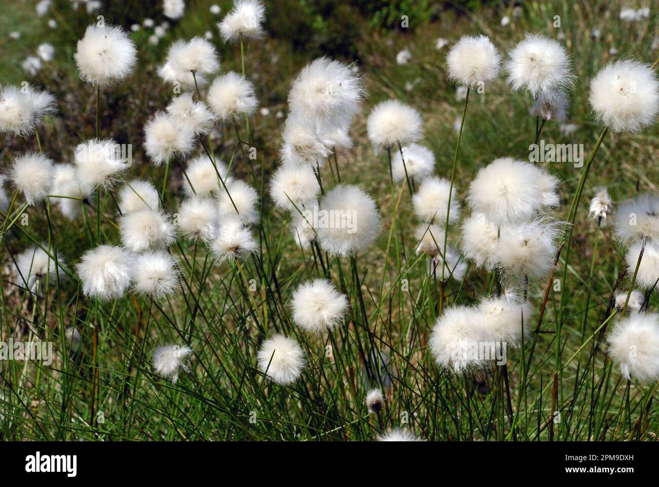 Damp areas hi-res stock photography and images - Alamy
