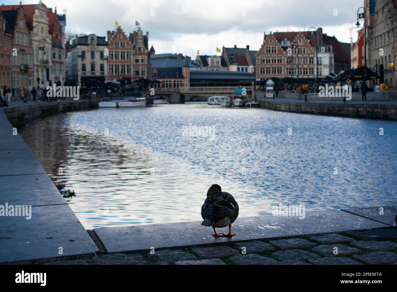 Iconic gothic architecture in Ghent, Belgium Downtown- Saint Nicholas ...