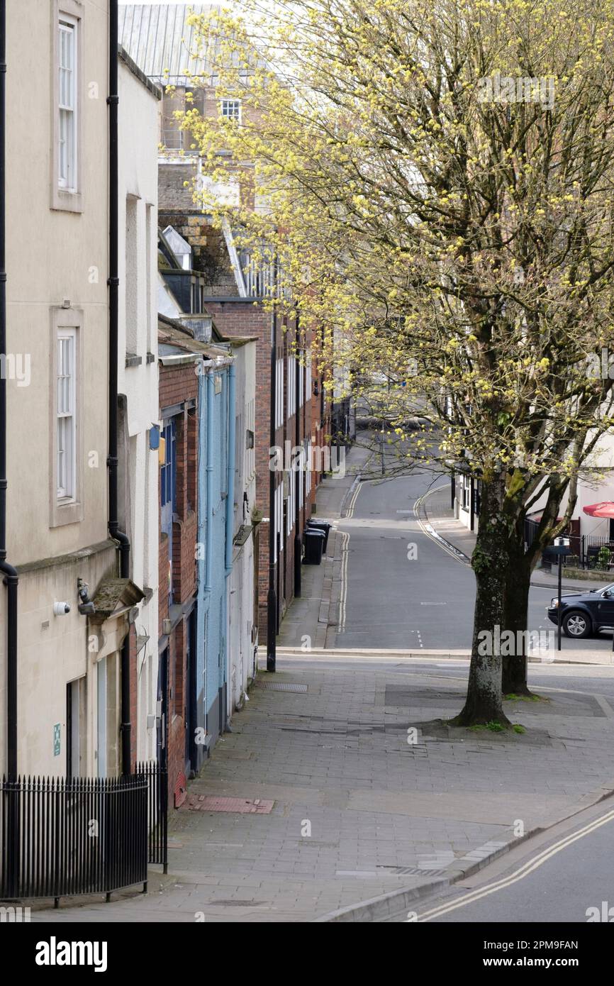 Leafy street view hi-res stock photography and images - Alamy