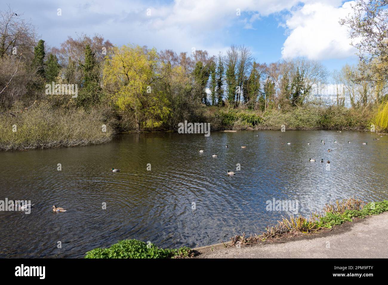 Dam wildlife hi-res stock photography and images - Alamy