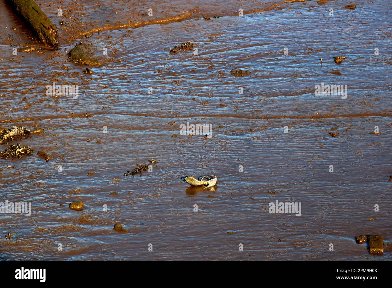 Old discarded shoe and general litter in a muddy river estuary Stock ...