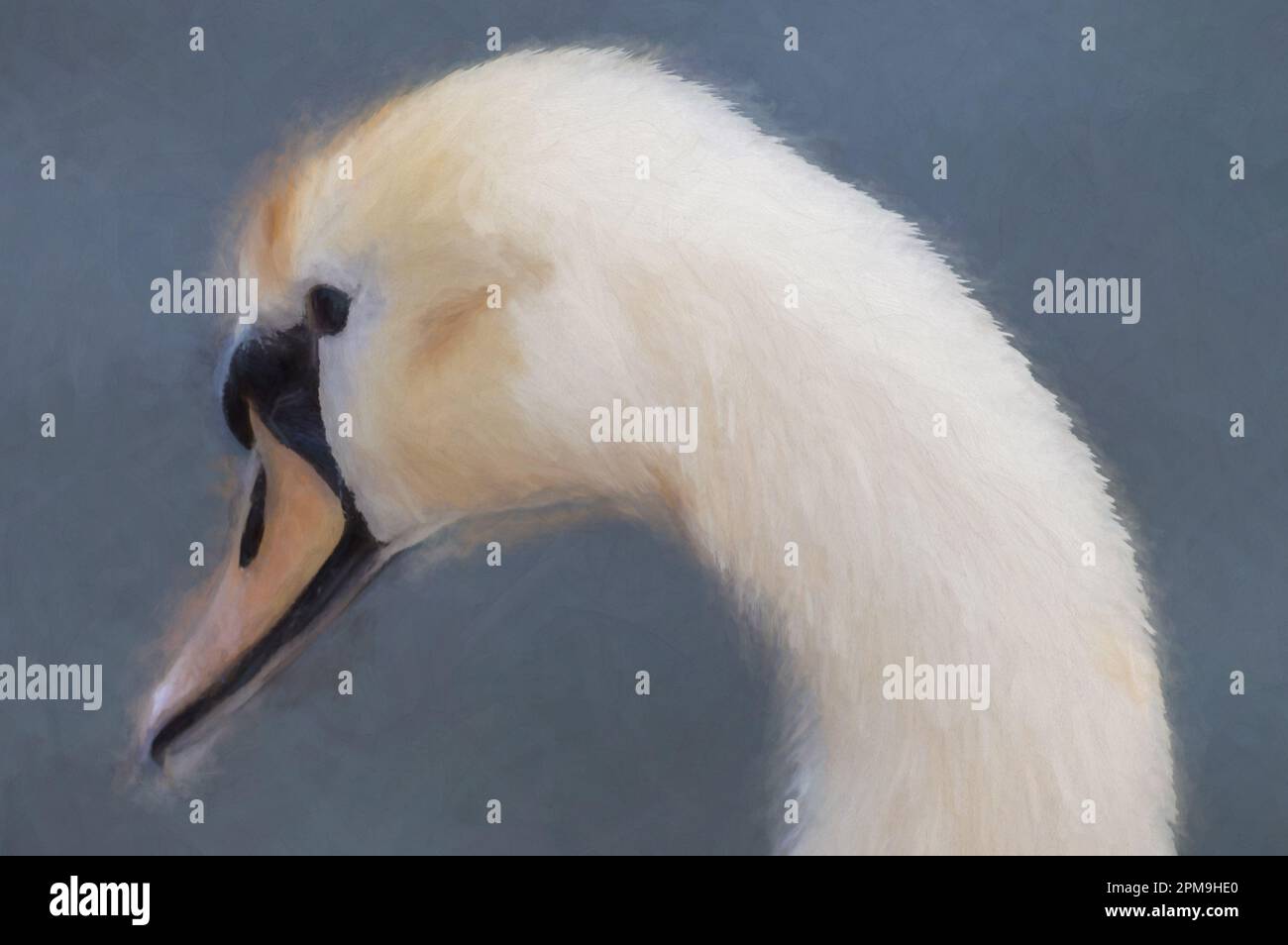 Digital painting of a beautiful white swan captured closeup and in ...