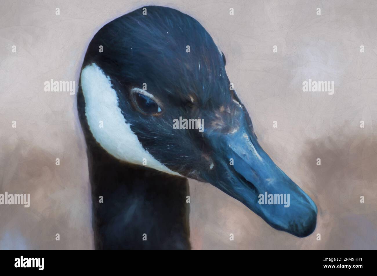 Goose painting black background hi-res stock photography and images - Alamy