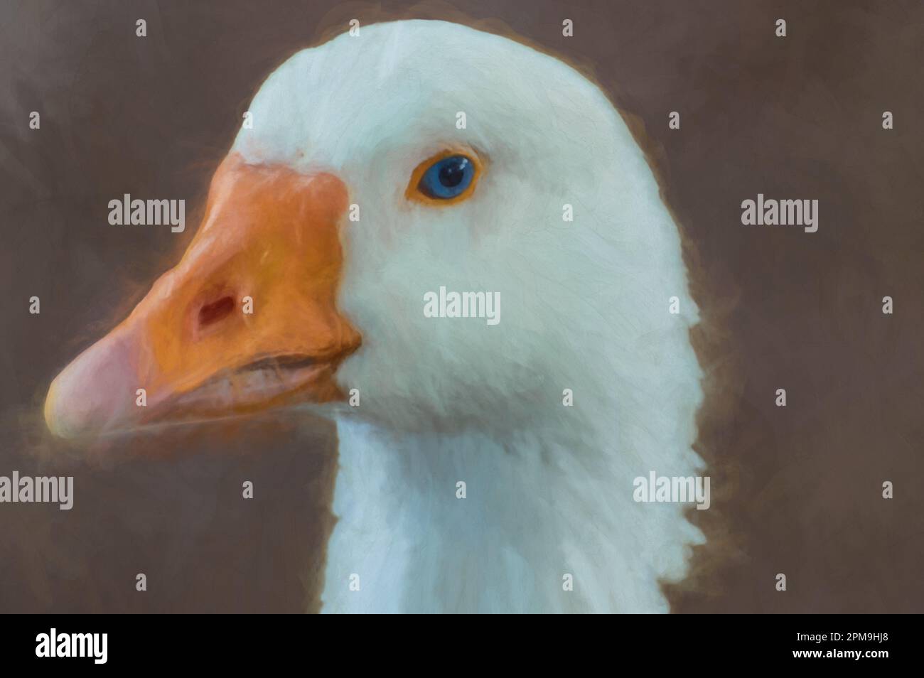 Digital painting of a beautiful white Goose captured closeup and in ...