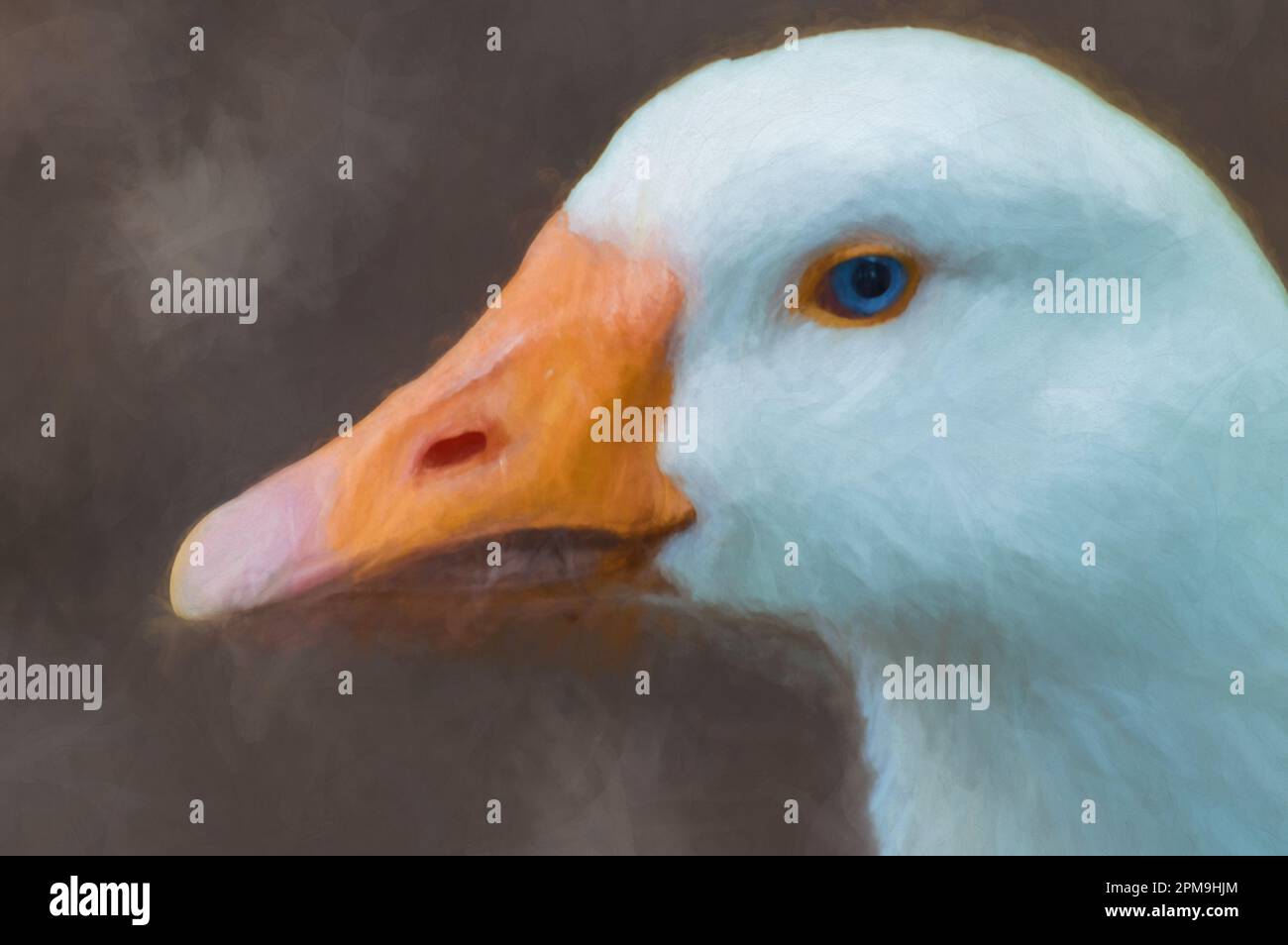Digital painting of a beautiful white Goose captured closeup and in ...