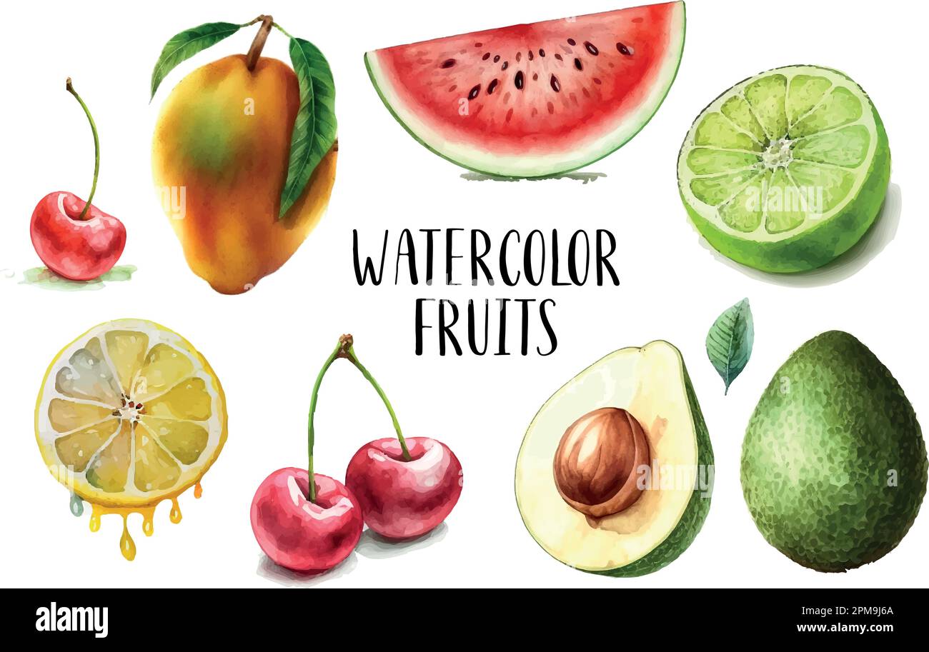 Watercolor painted collection of fruits. Hand drawn fresh food design ...