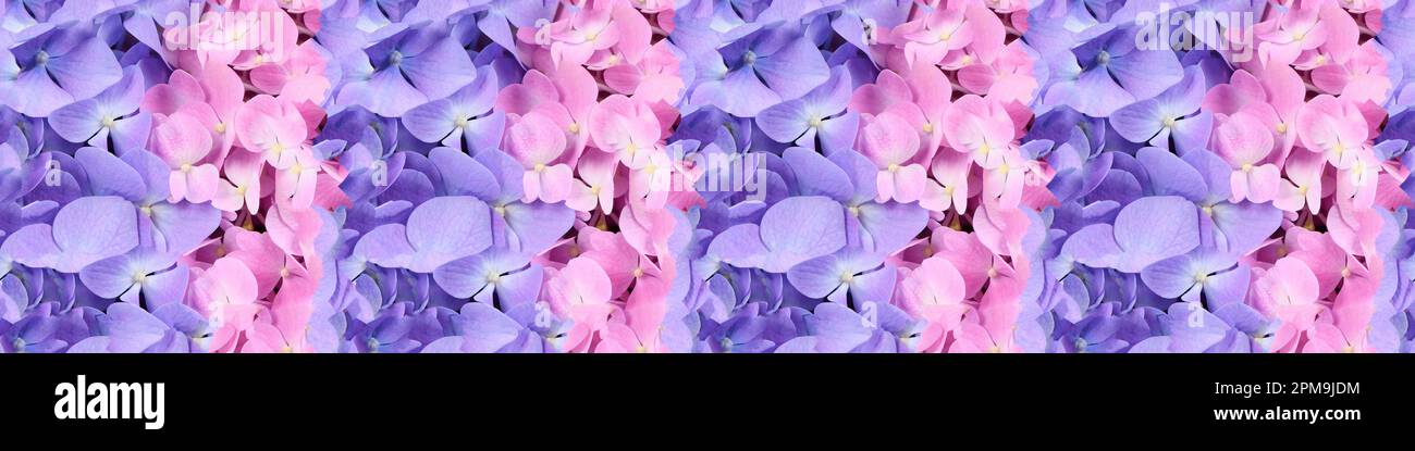 Pink Floral Twitter Backgrounds