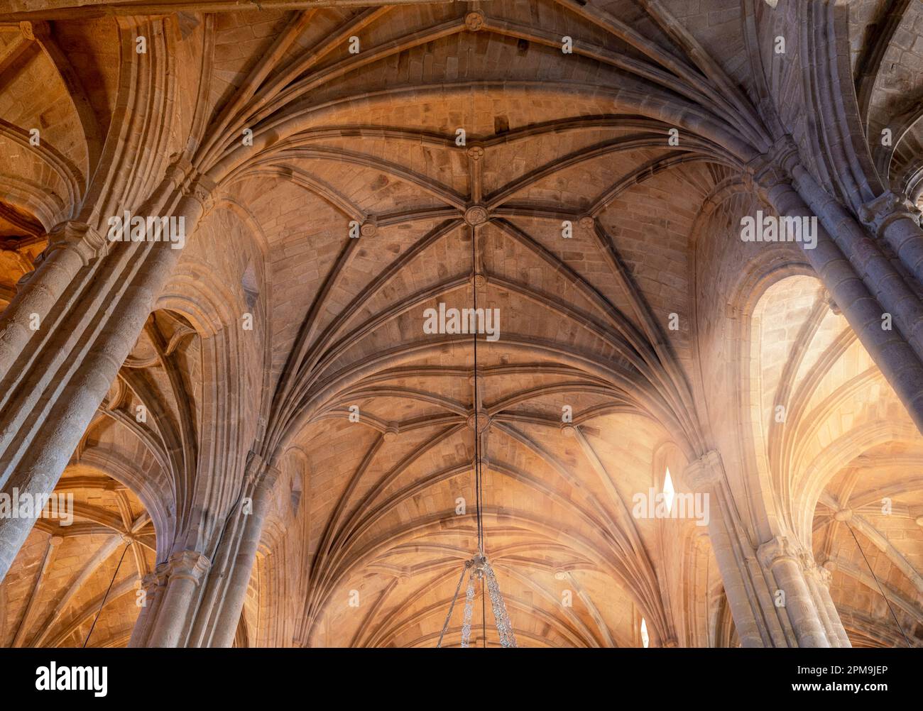 Gothic Vault Architecture