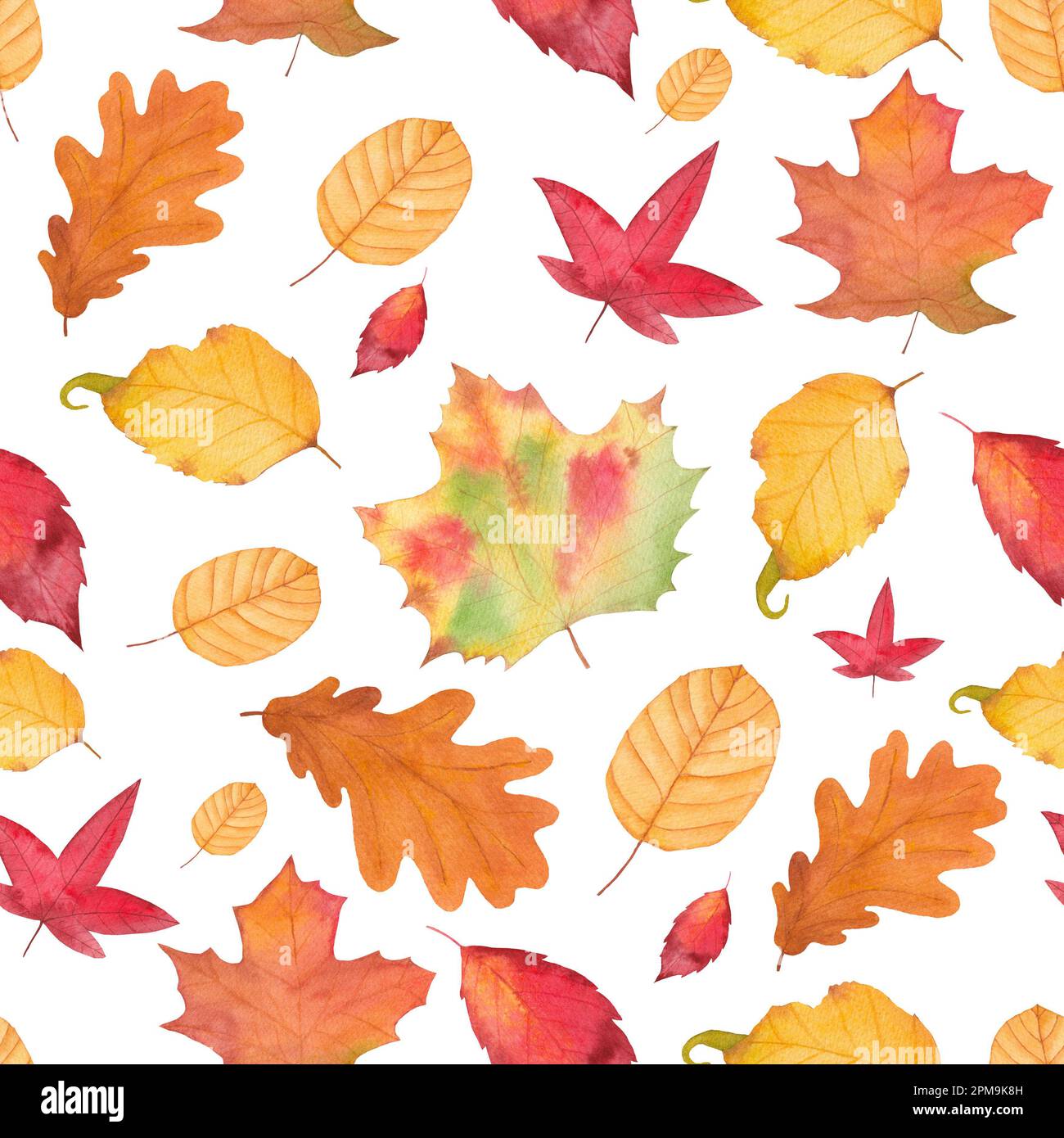 Watercolor Autumn Fall Seamless Pattern. Leaf Pattern. Botanical ...