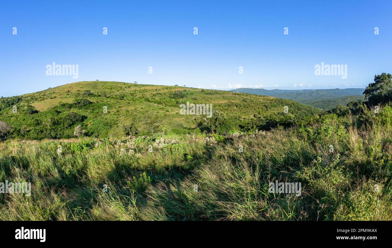 Safari wildlife rugged scenic landscape overlooking thick bush grass ...