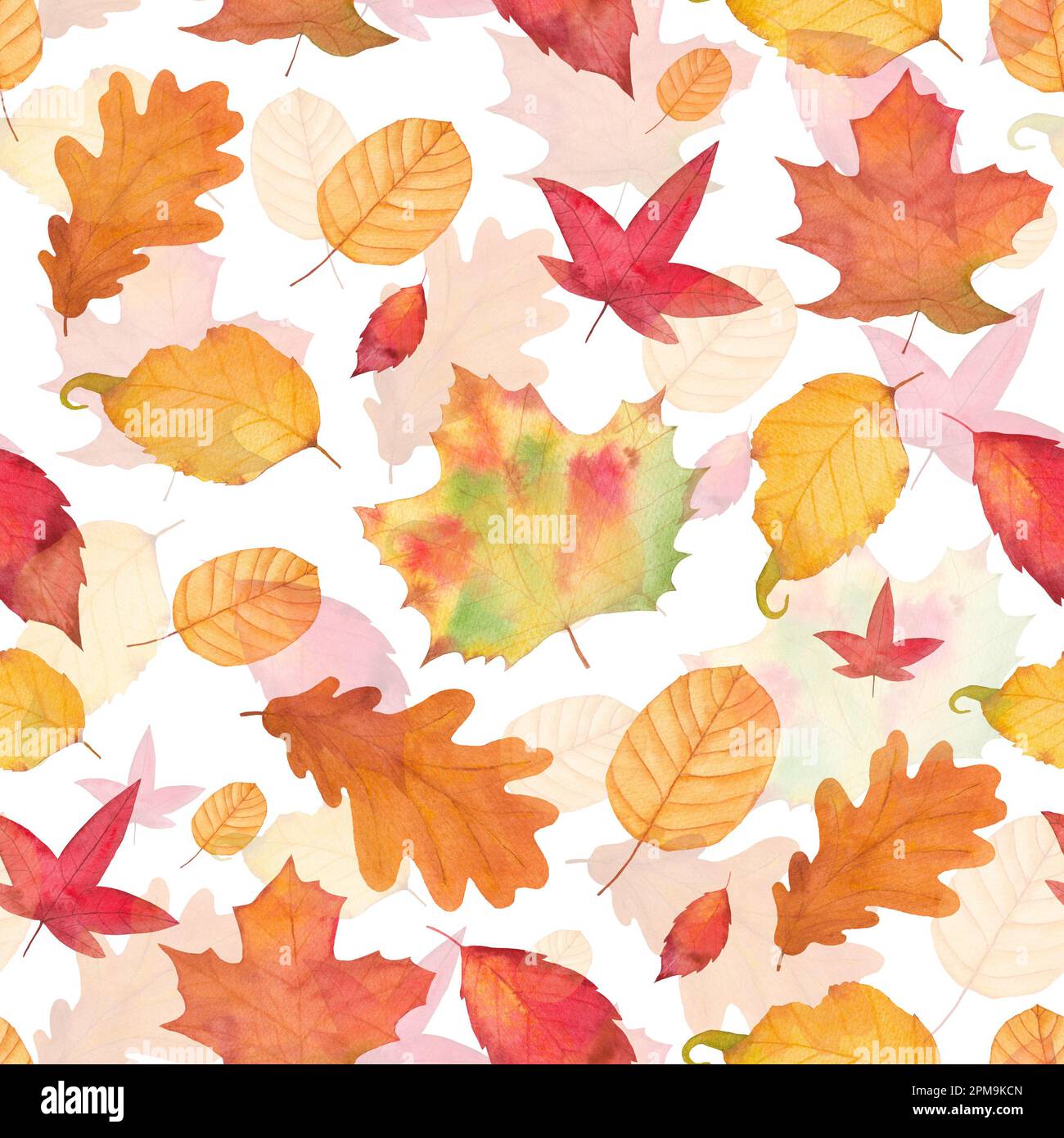 Watercolor Autumn Fall Seamless Pattern. Leaf Pattern. Botanical ...
