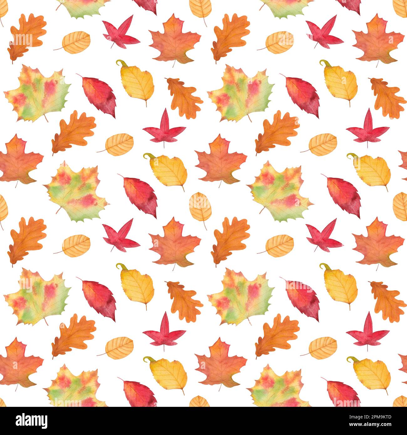 Watercolor Autumn Fall Seamless Pattern. Leaf Pattern. Botanical ...