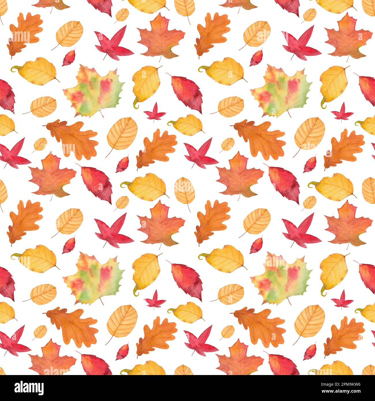 Watercolor Autumn Fall Seamless Pattern. Leaf Pattern. Botanical ...