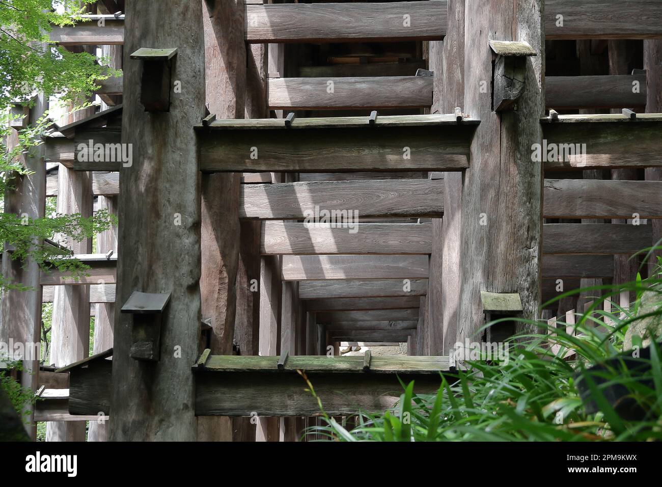 The summer view of the Kiyomizudera Temple (literally "Pure Water ...