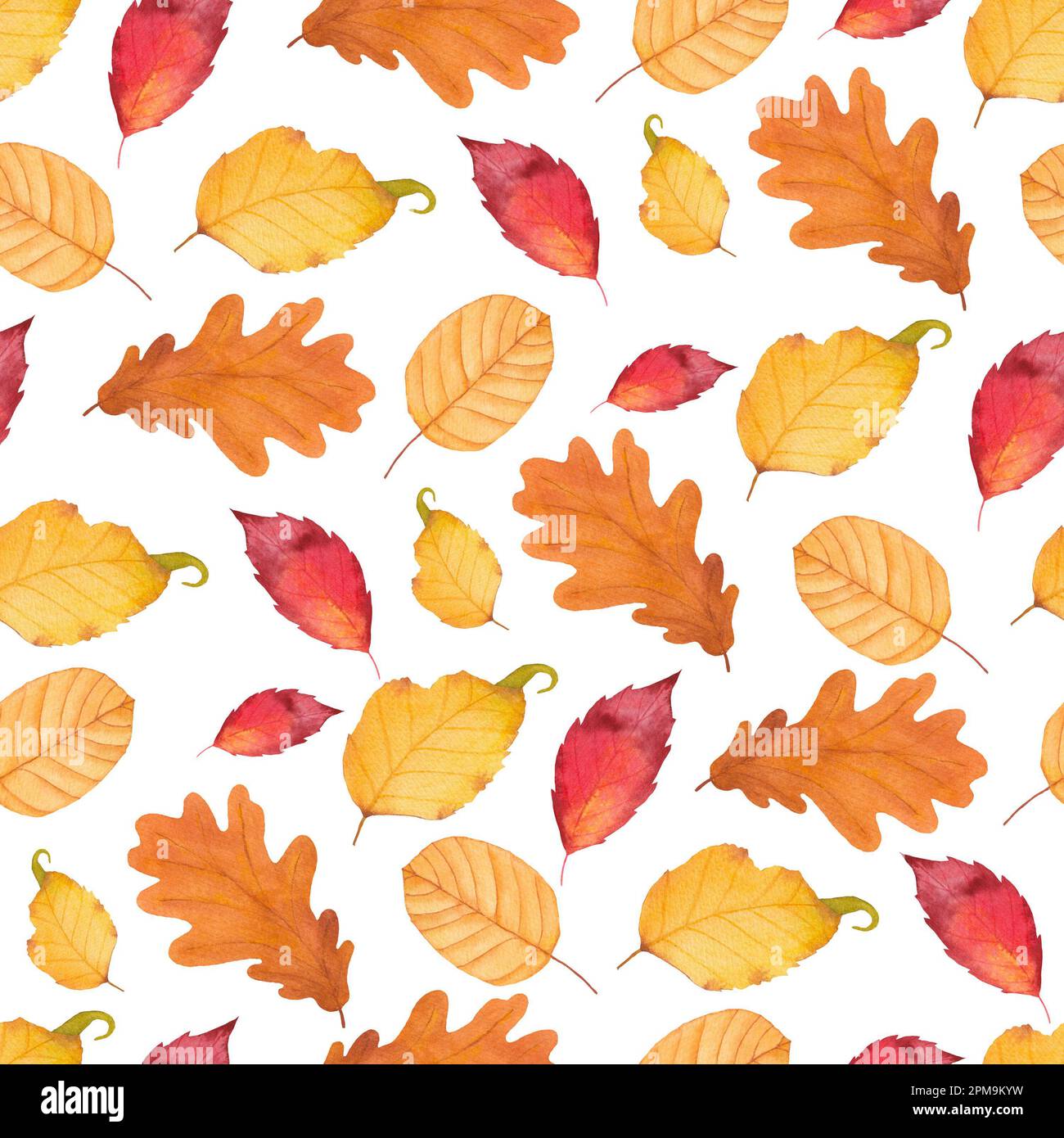 Watercolor Autumn Fall Seamless Pattern. Leaf Pattern. Botanical ...