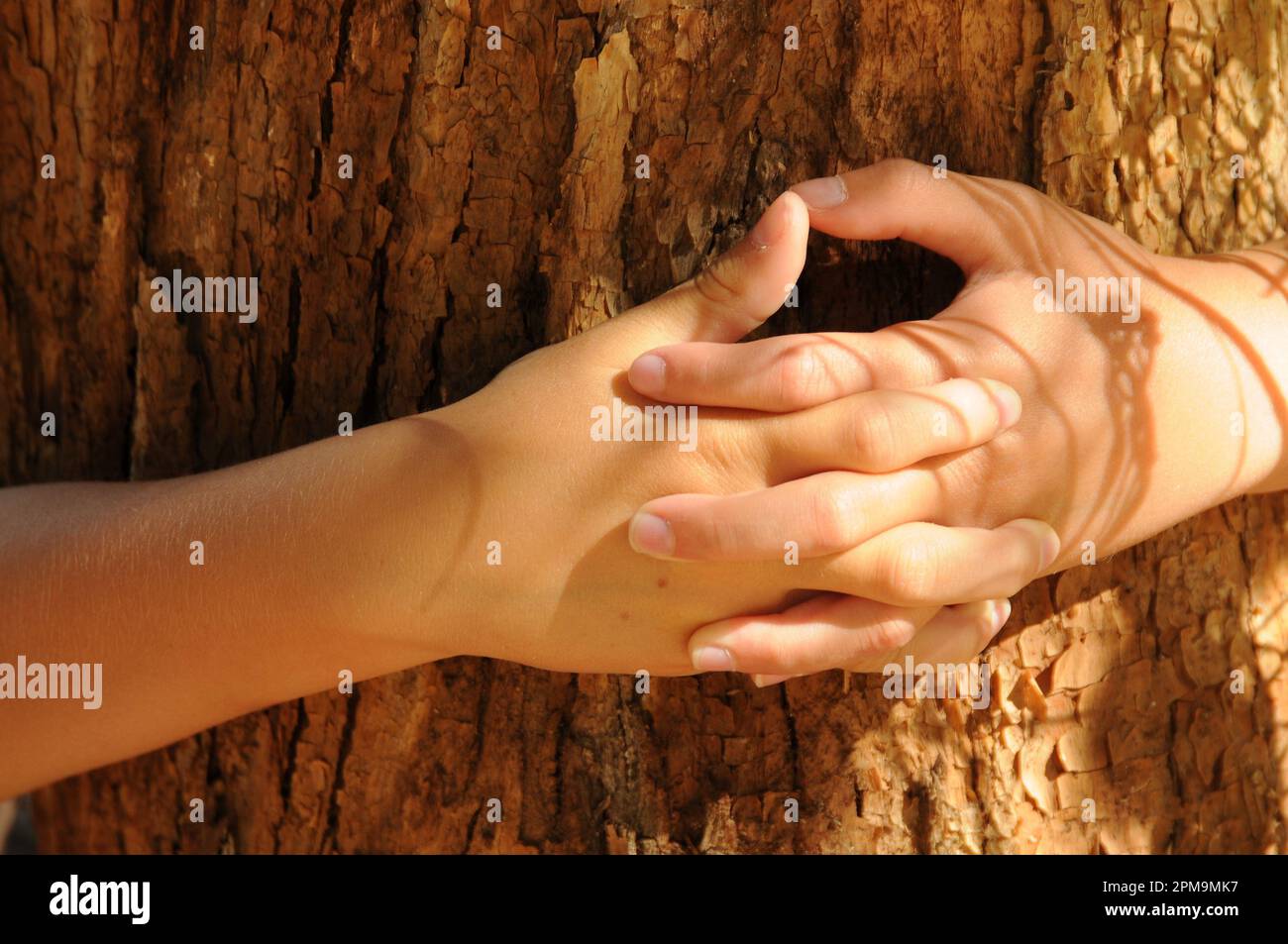 Isolated diversity tree hands hi-res stock photography and images - Alamy